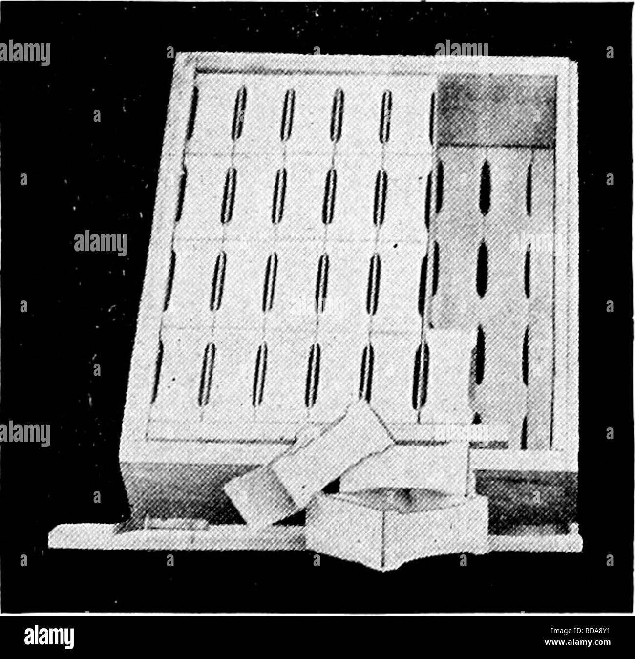 Kinds comb Black and White Stock Photos & Images - Alamy