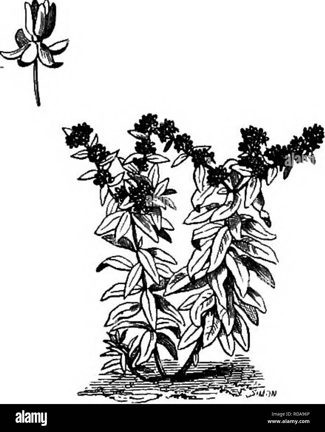 1895 1938 Black and White Stock Photos & Images - Alamy