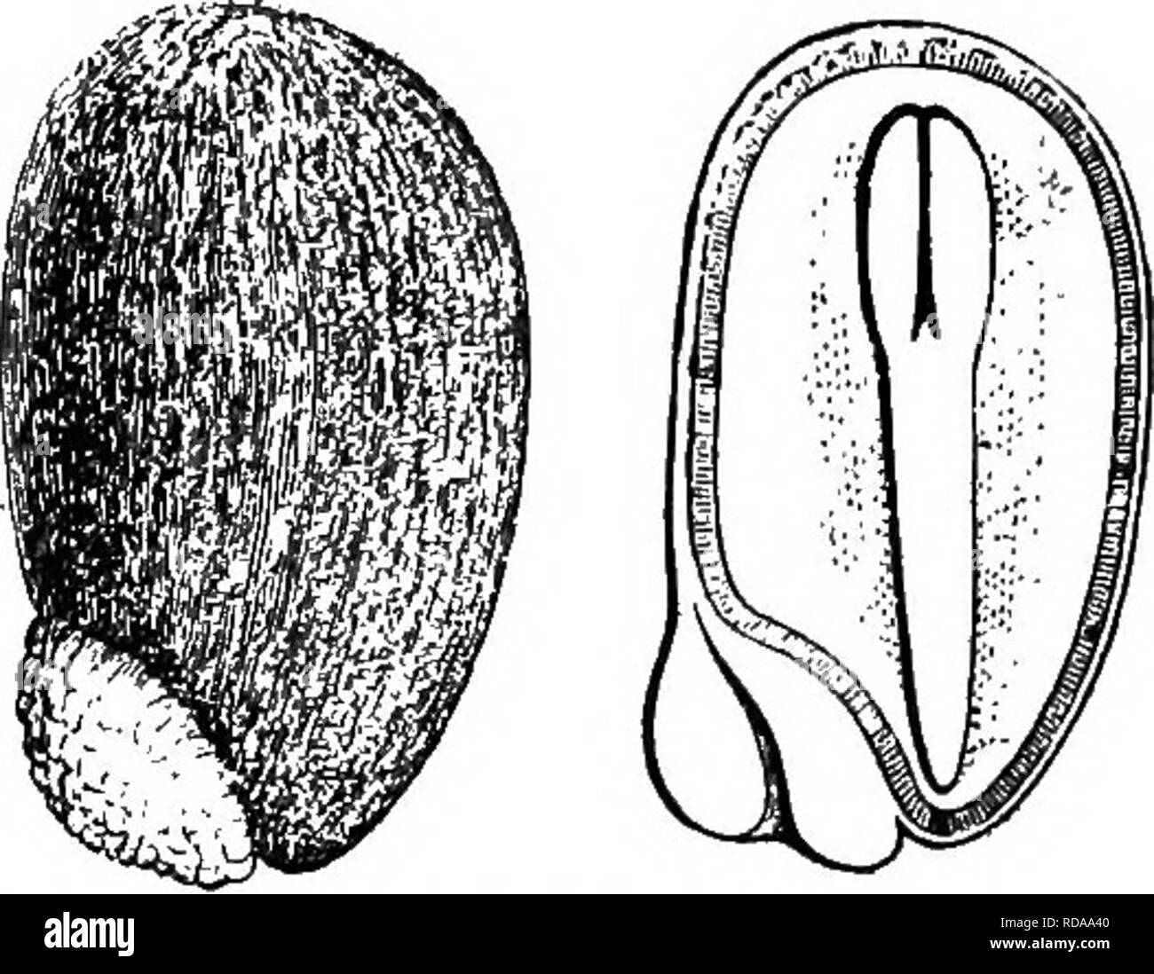 Character 237 hi-res stock photography and images - Alamy