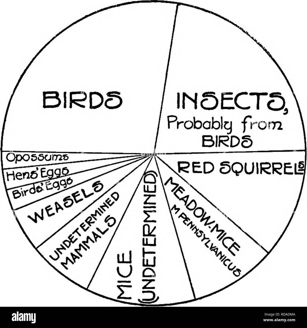 . The natural enemies of birds. Birds. 41 feeds so exclusively on eggs ...