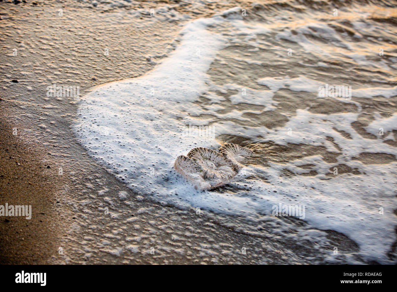 Decore element under waves of sea on a beach Stock Photo - Alamy