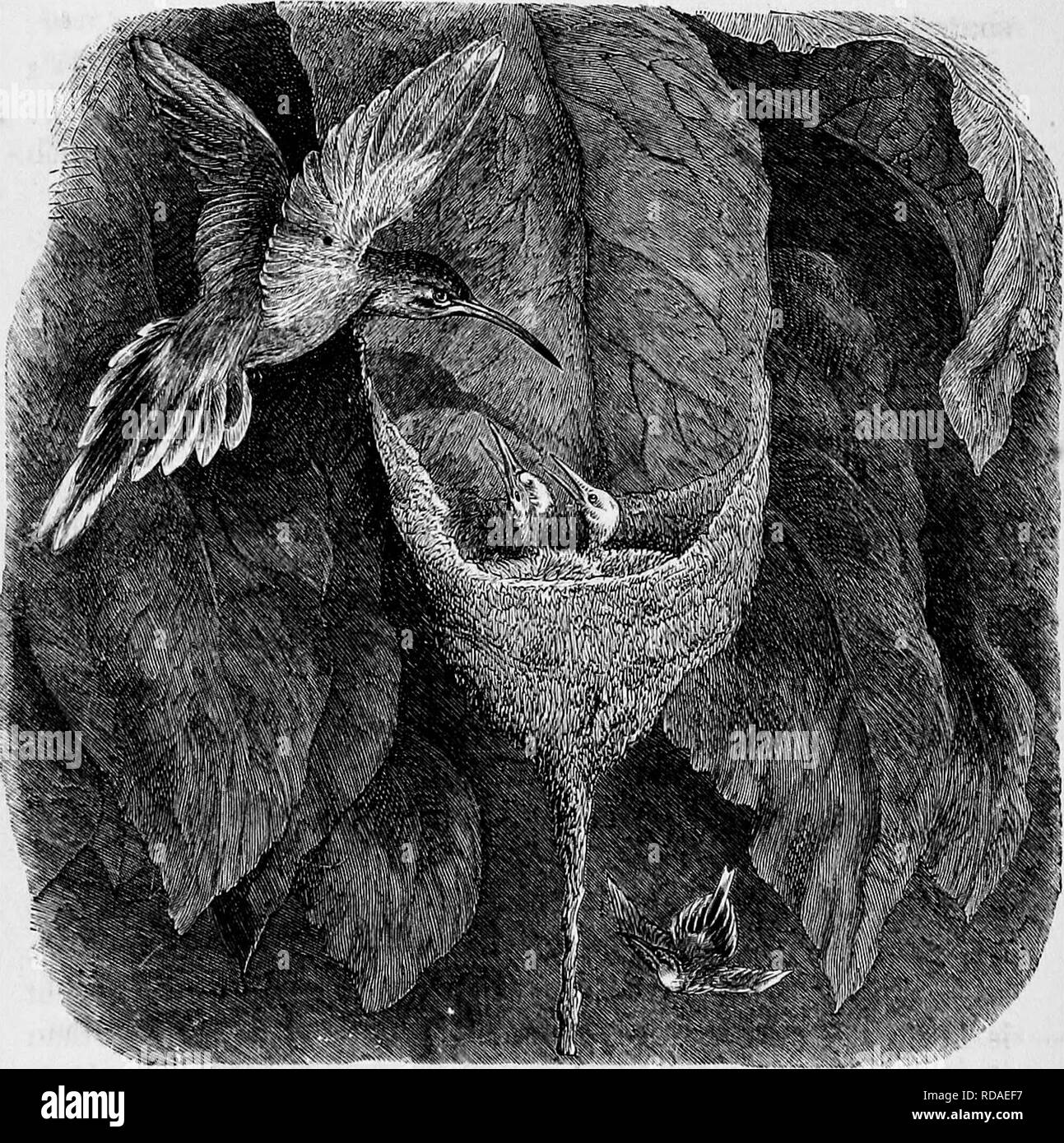 Pulled together threads hi-res stock photography and images - Alamy