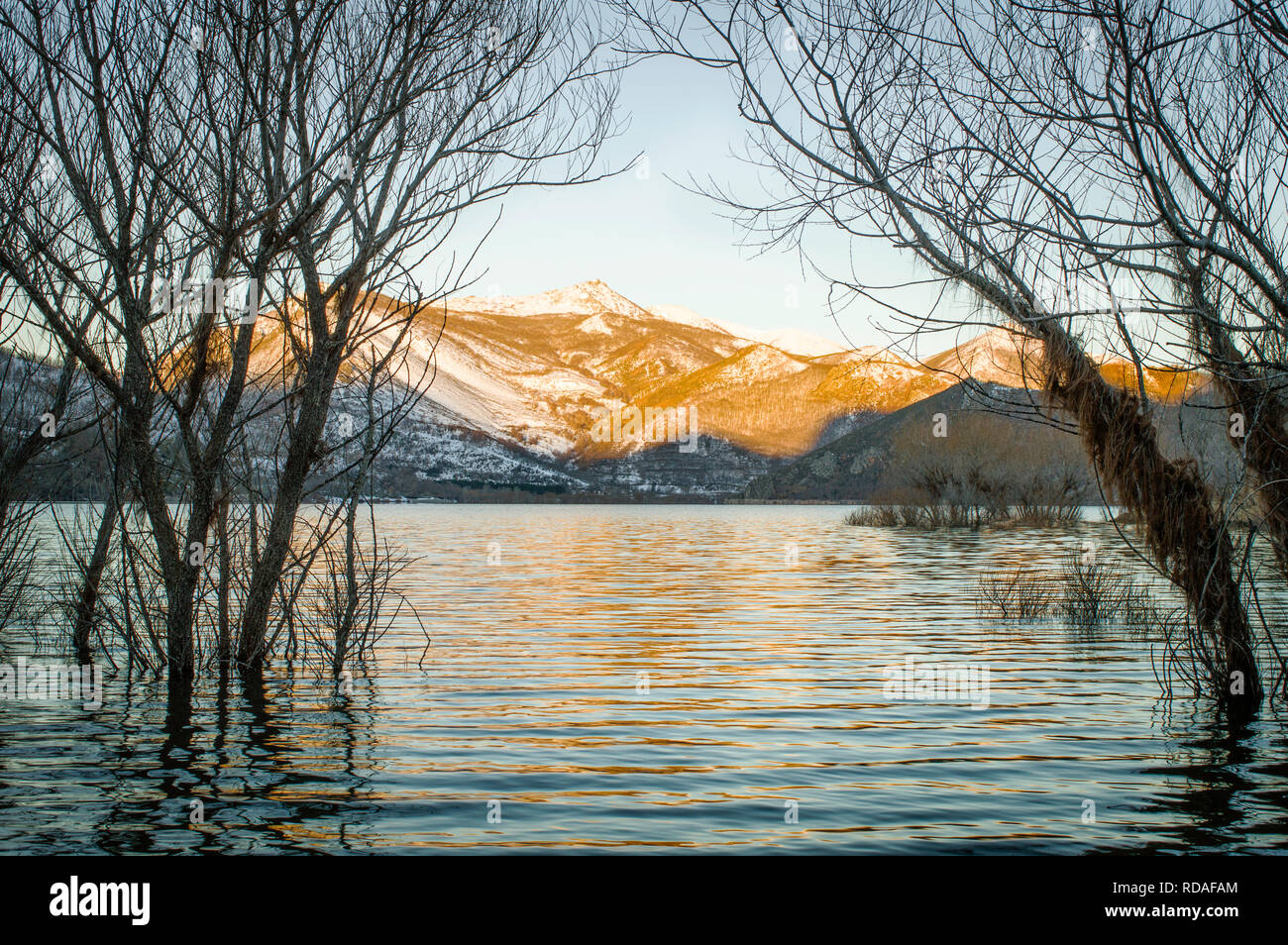 Swamp marshland water landscape. Swamp land backwater panorama. Swamp ...