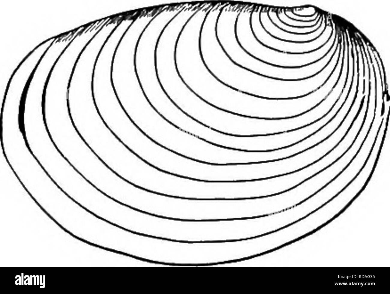 . Fresh-water biology. Freshwater biology. 674 FRESH-WATER BIOLOGY 67 ...