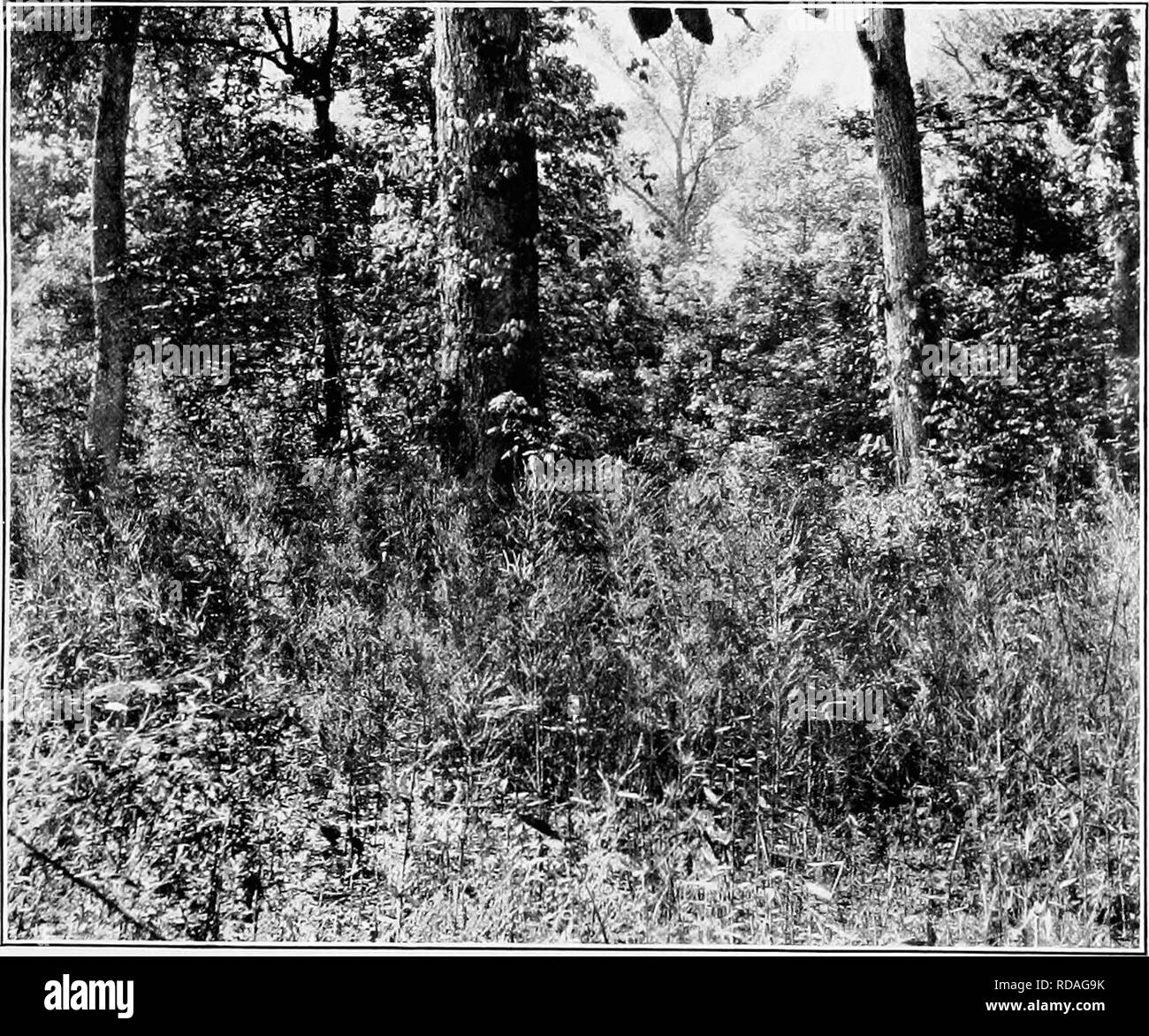 Turrell Arkansas High Resolution Stock Photography and Images - Alamy