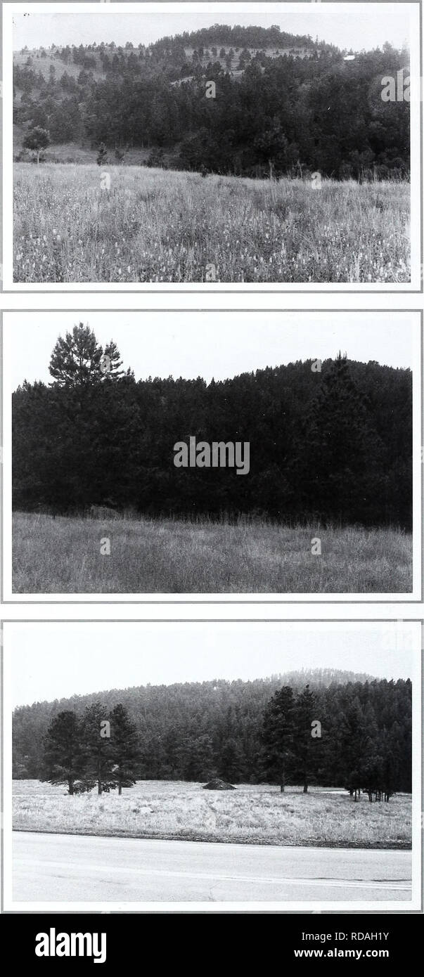 . Eighty years of vegetation and landscape changes in the Northern ...