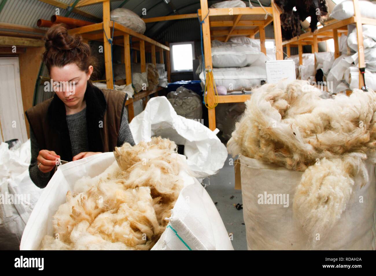 Sorting and grading wool for process of spinning for commercial use in ...
