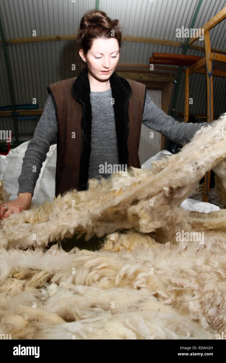 Wool sorting shed hi-res stock photography and images - Alamy