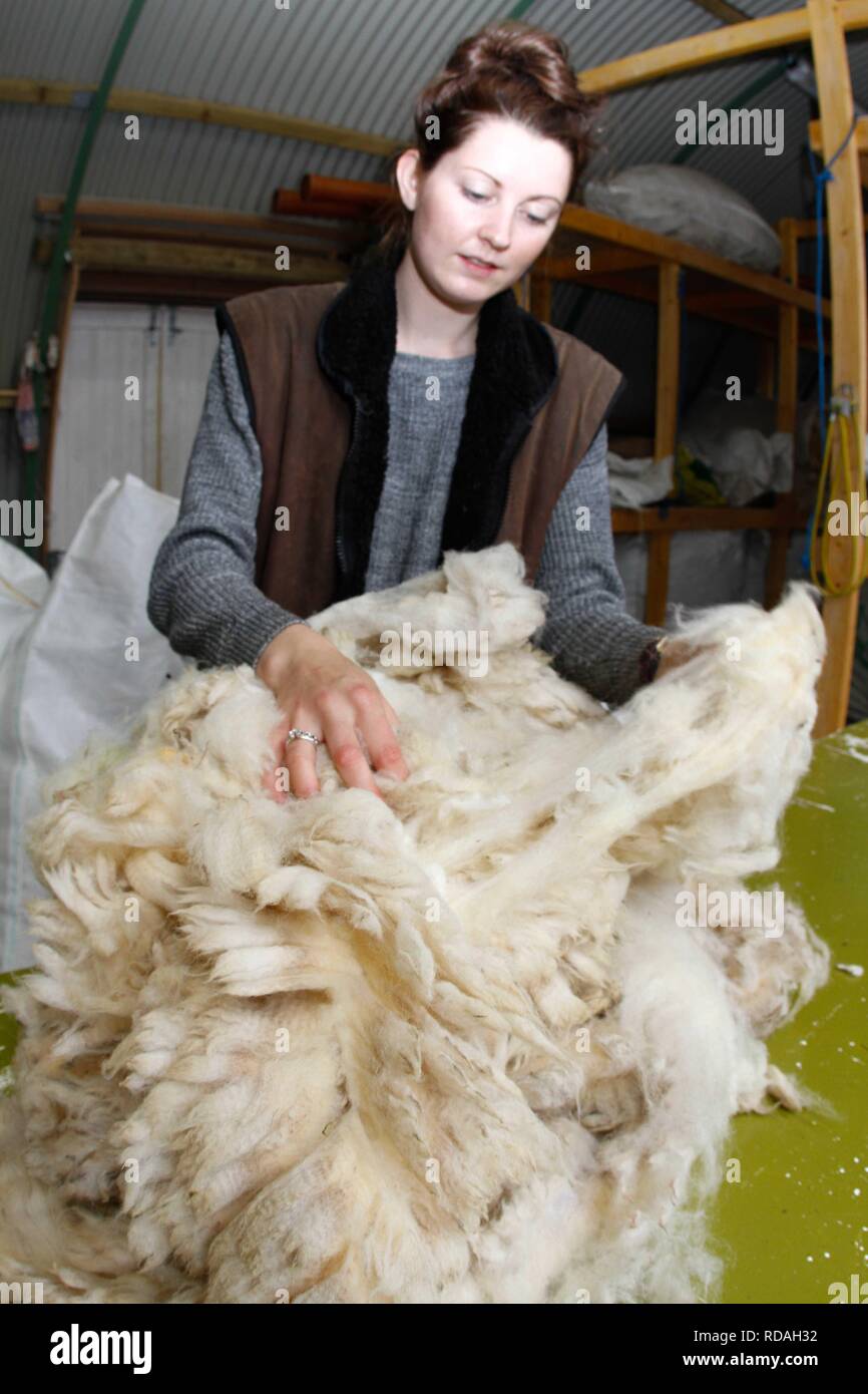 Wool sorting shed hi-res stock photography and images - Alamy