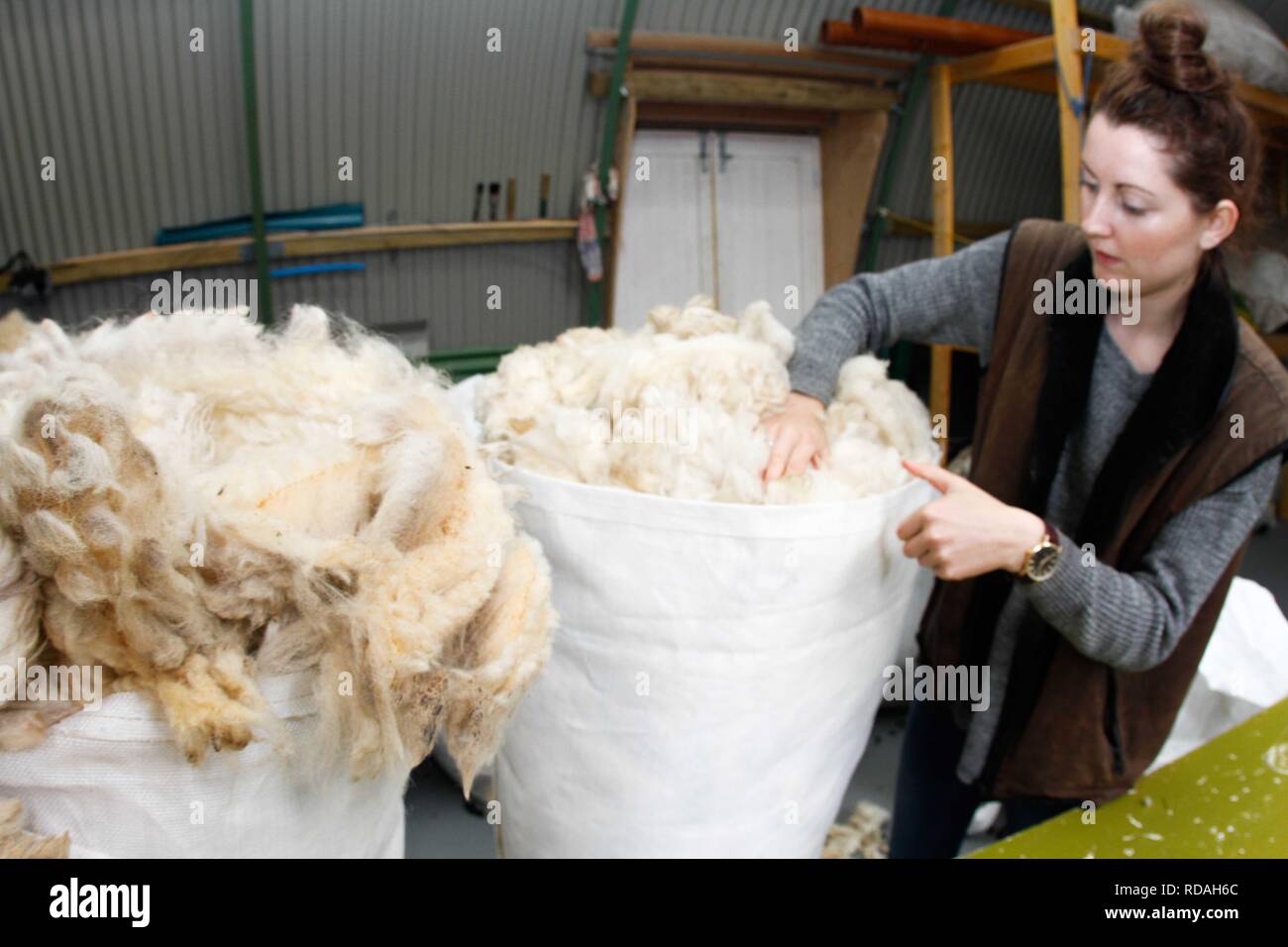 Wool sorting hi-res stock photography and images - Alamy