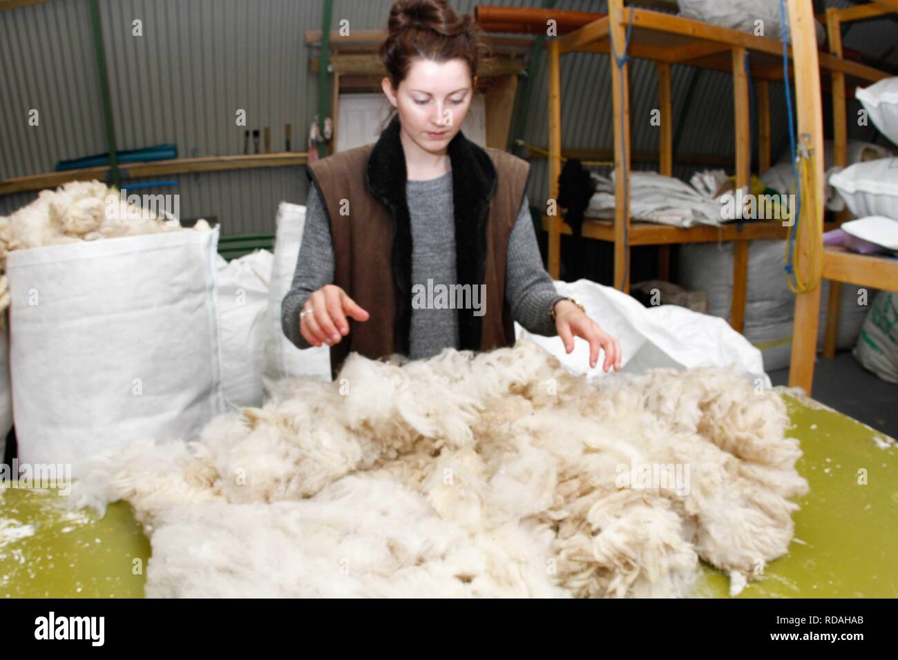 Sorting and grading wool for process of spinning for commercial use in ...