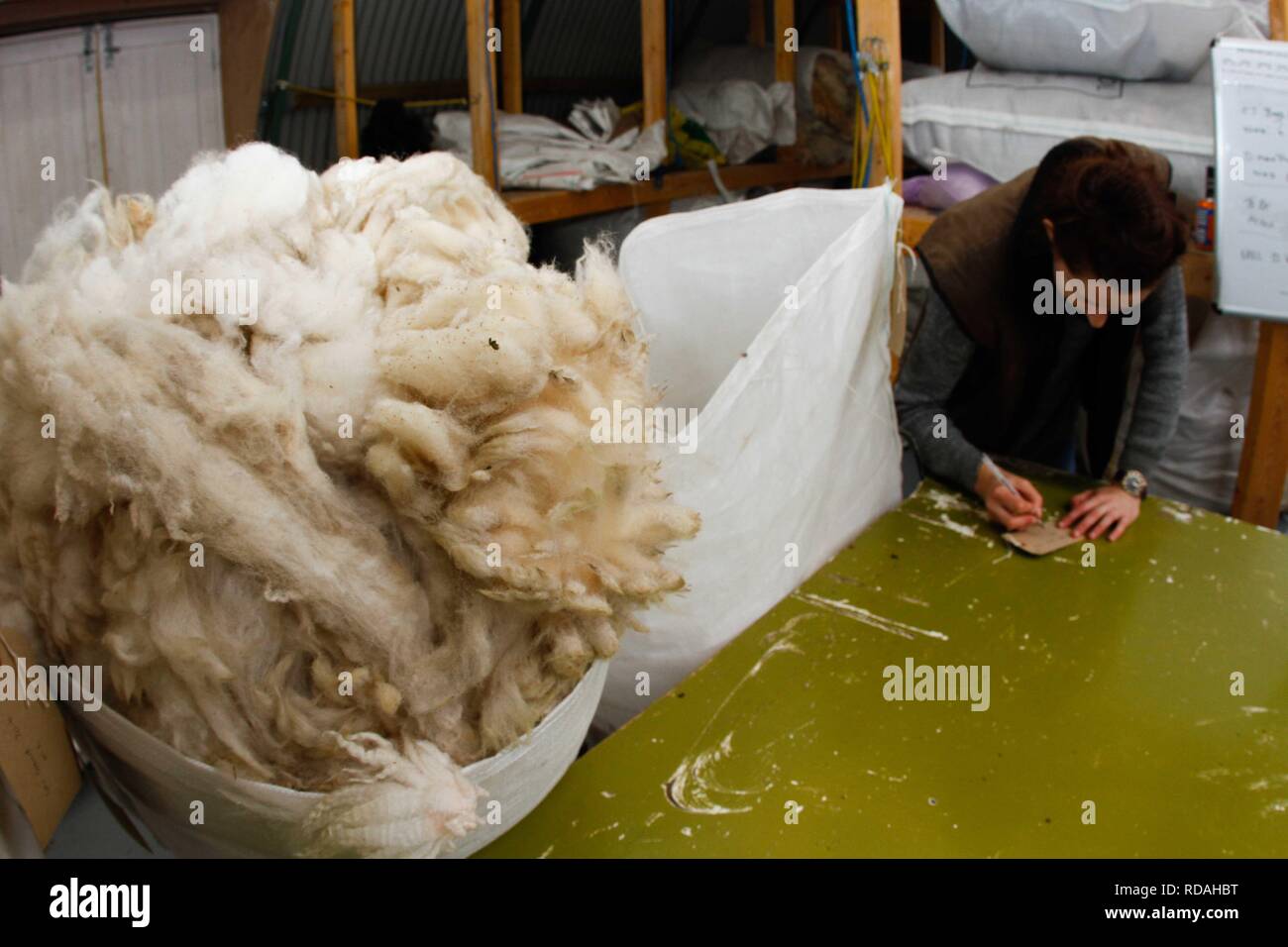 Sorting and grading wool for process of spinning for commercial use in ...