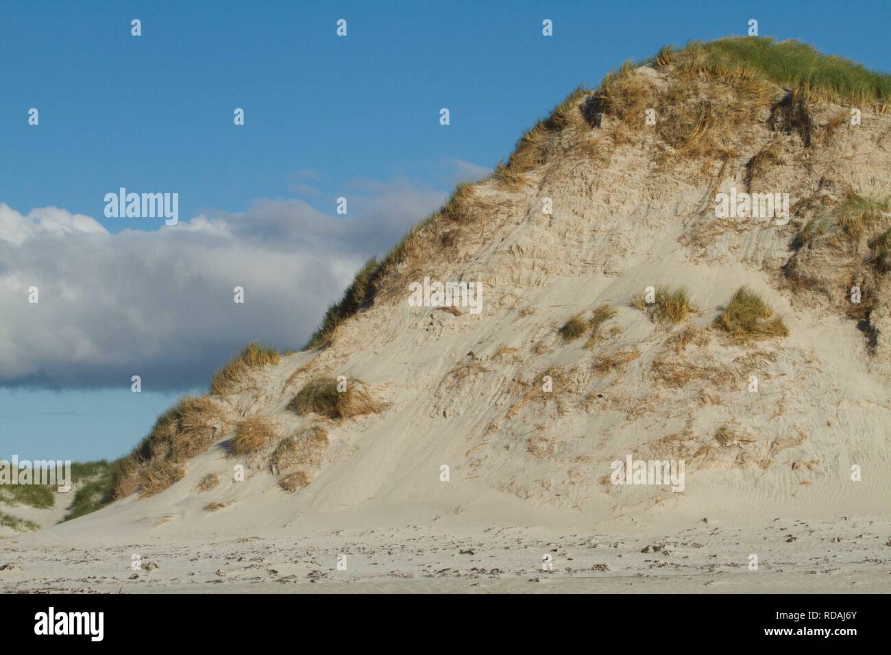 Erosion of sand dune face caused by Atlantic storms and strong winds ...