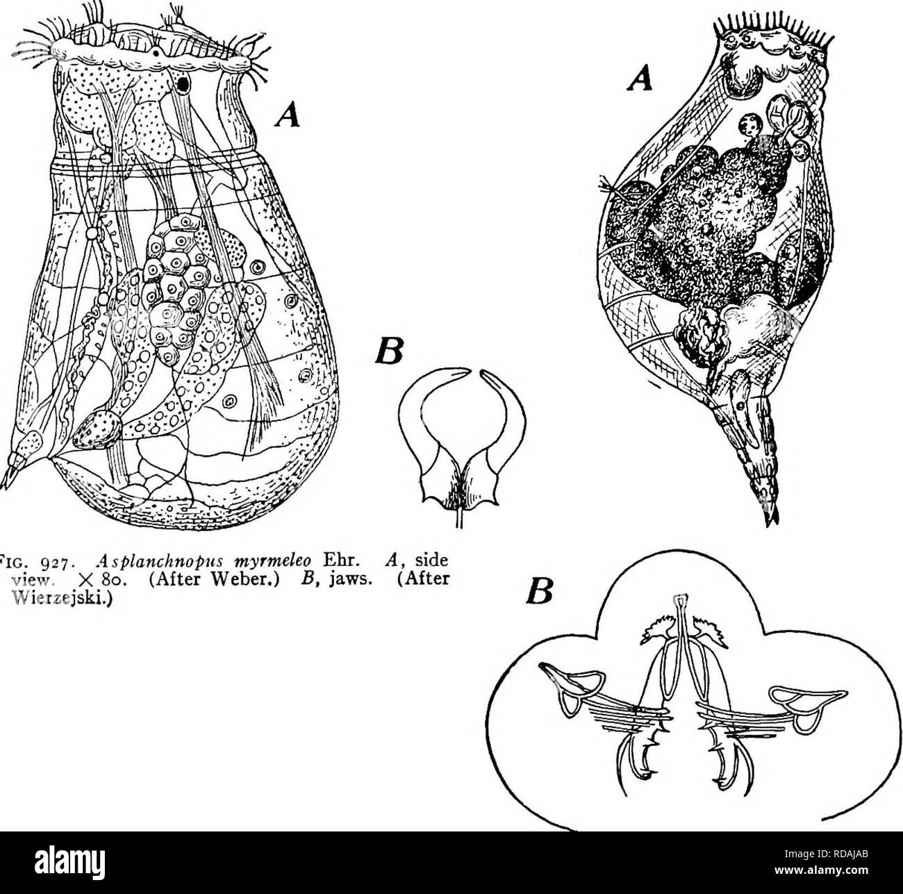 John wile hi-res stock photography and images - Alamy