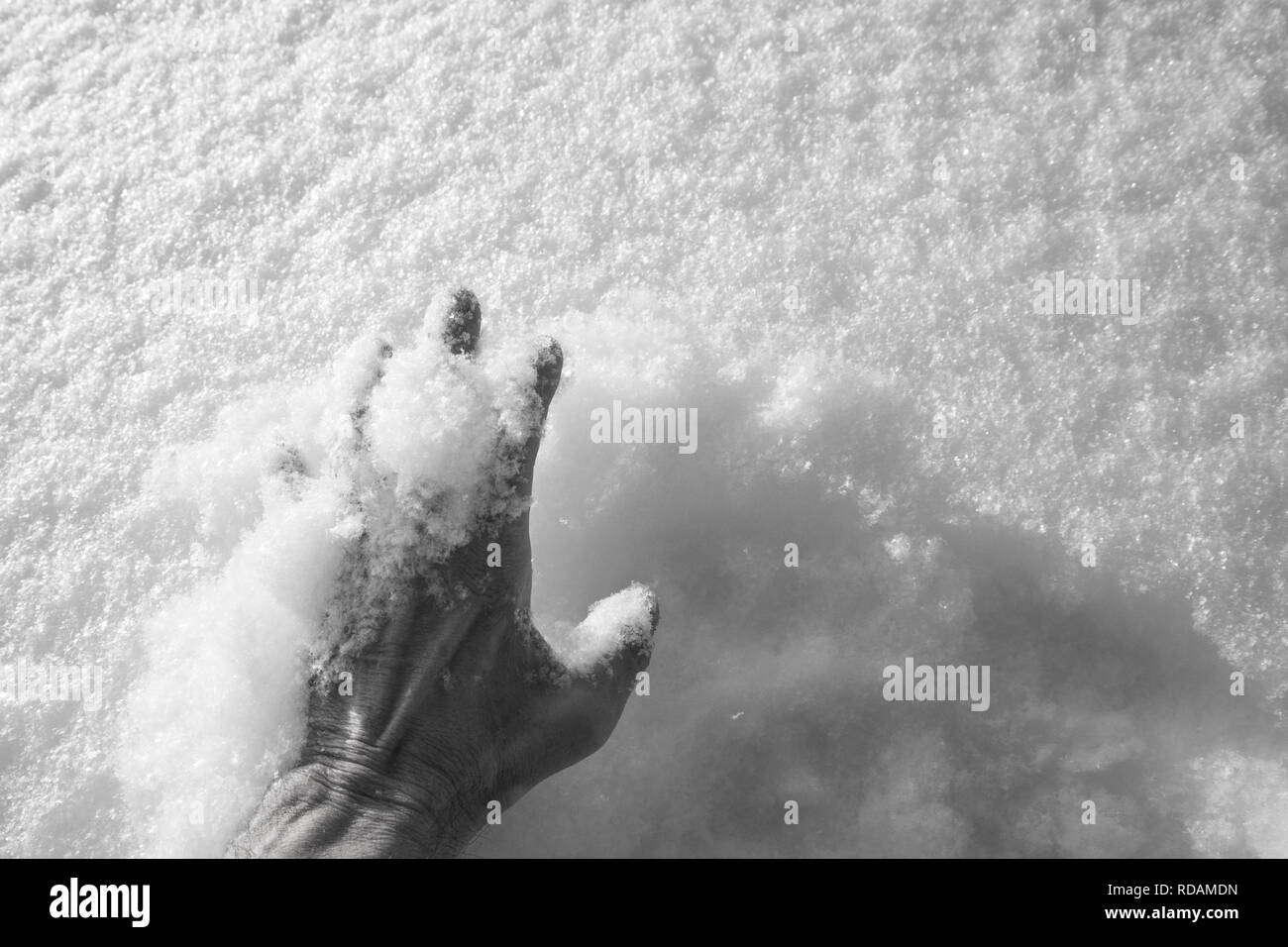 Dramatic hand in the snow. Tragedy Stock Photo - Alamy