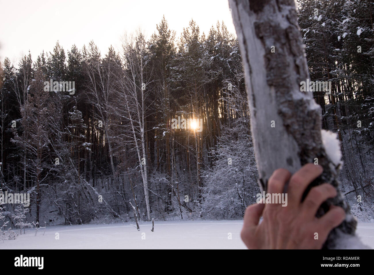 Dramatic hand in the snow. Tragedy Stock Photo - Alamy