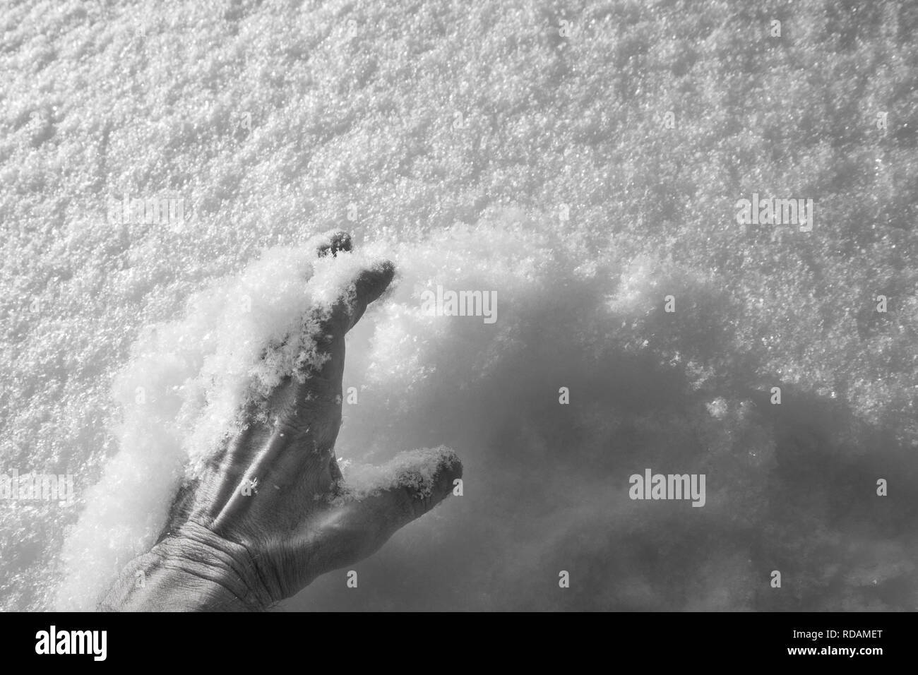 Dramatic hand in the snow. Tragedy Stock Photo - Alamy