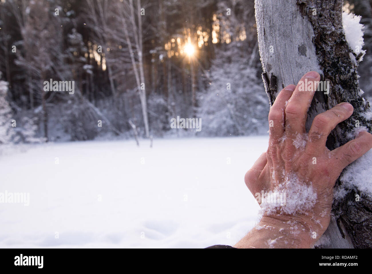 Hand in the snow hi-res stock photography and images - Alamy
