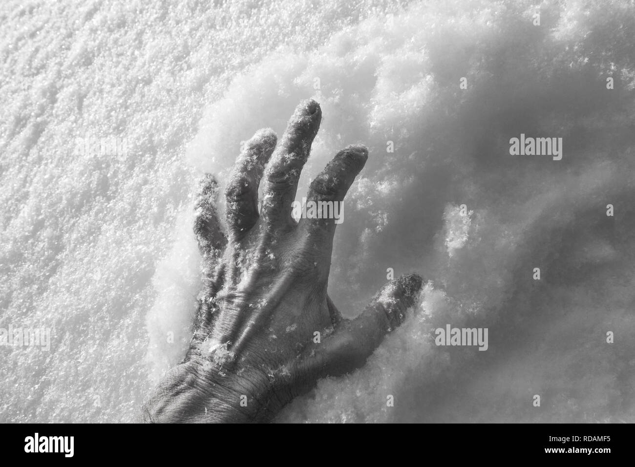 Dramatic hand in the snow. Tragedy Stock Photo - Alamy