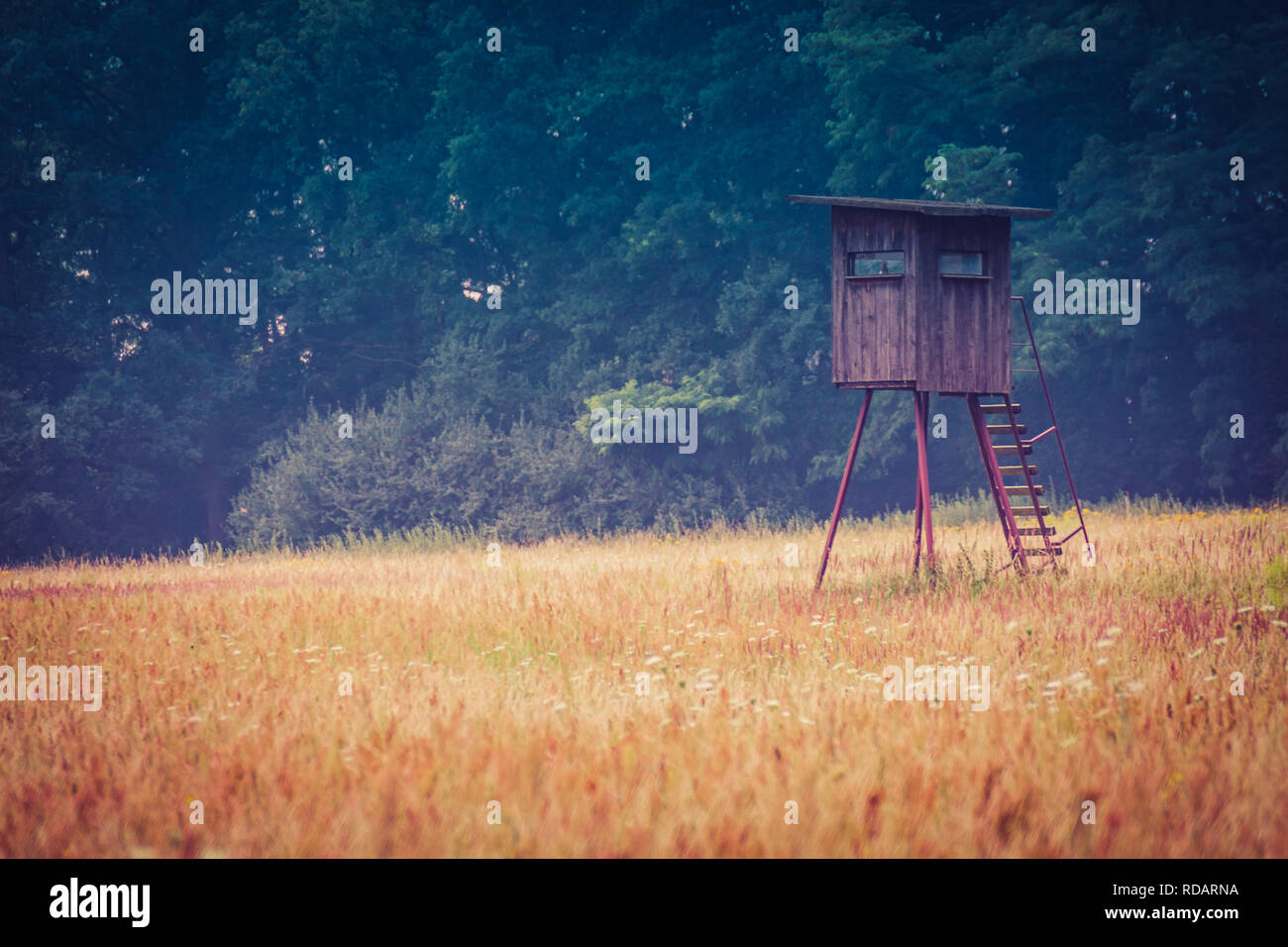 Wildlife watching tower hi-res stock photography and images - Alamy