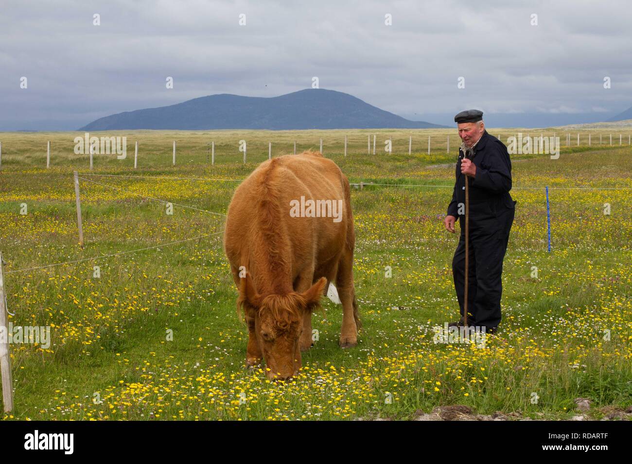 Angus macaskill hi-res stock photography and images - Alamy