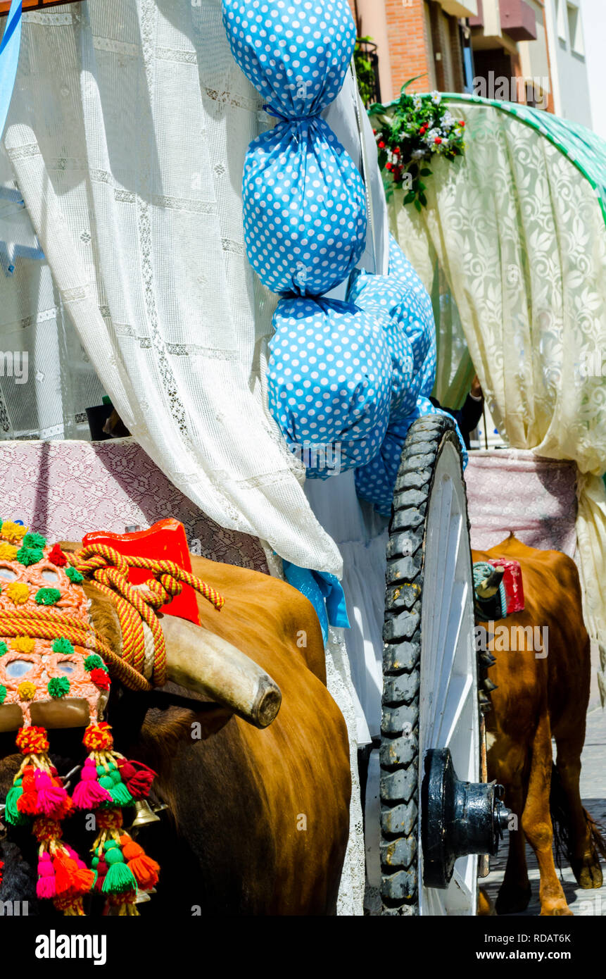 Ox Skin High Resolution Stock Photography and Images - Alamy