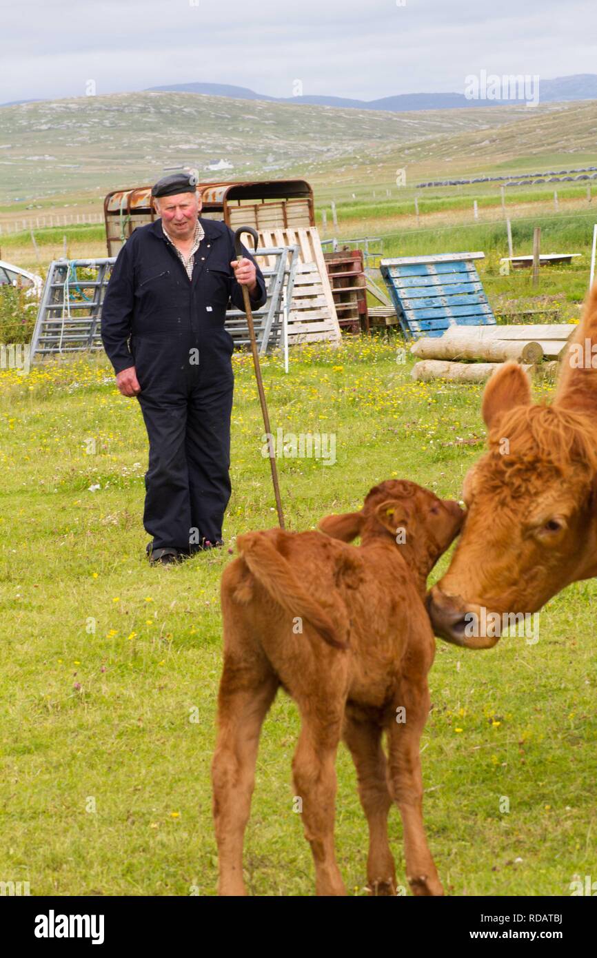 Angus macaskill hi-res stock photography and images - Alamy