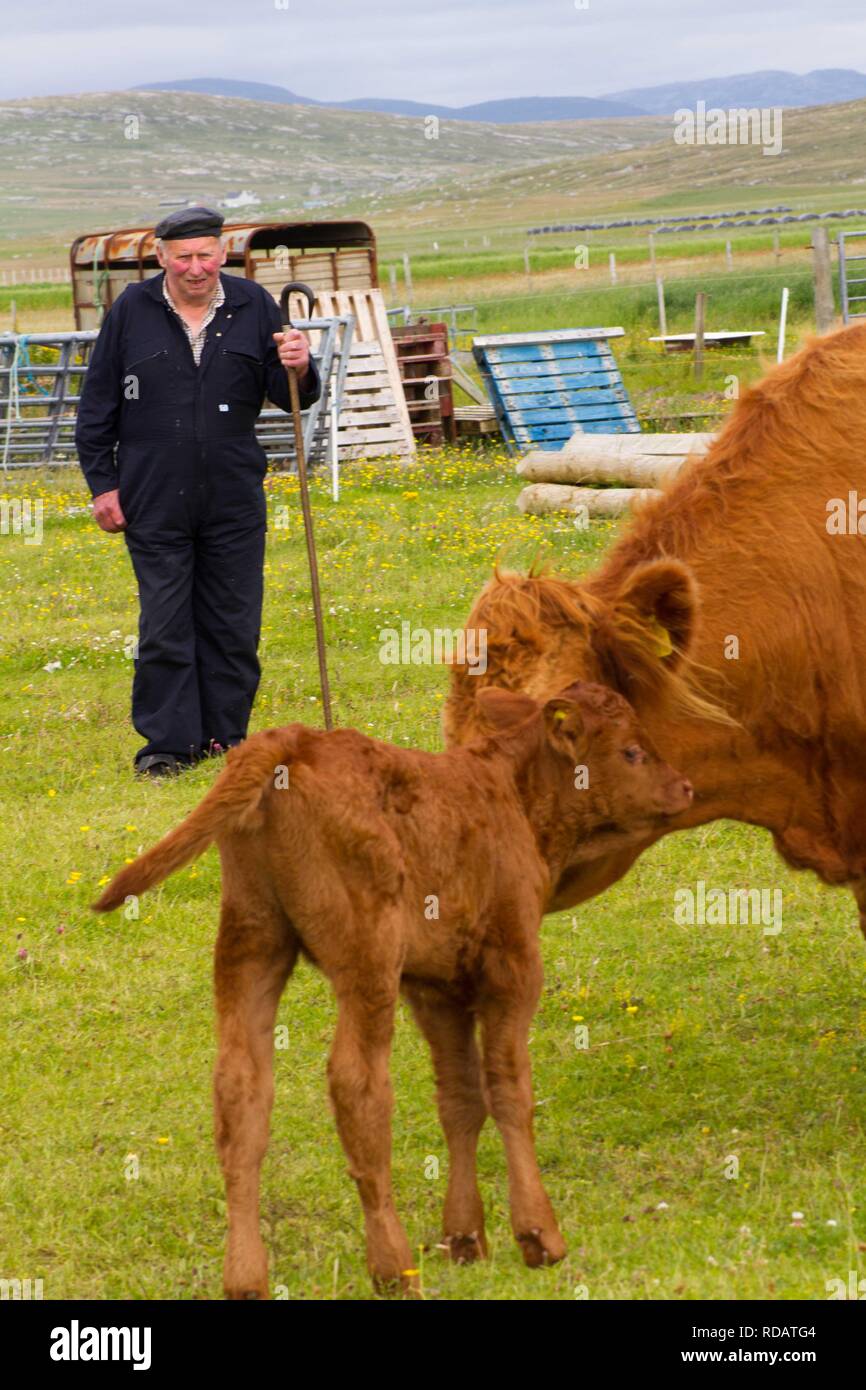 Angus macaskill hi-res stock photography and images - Alamy