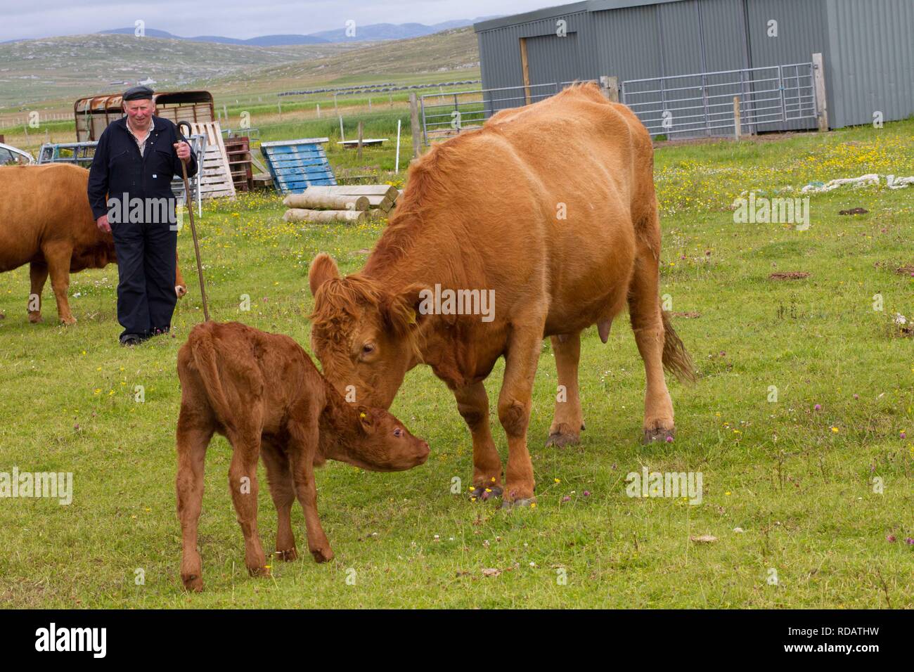 Neil Macaskill , relative of tallest man from UK from Berneray ),Angus ...