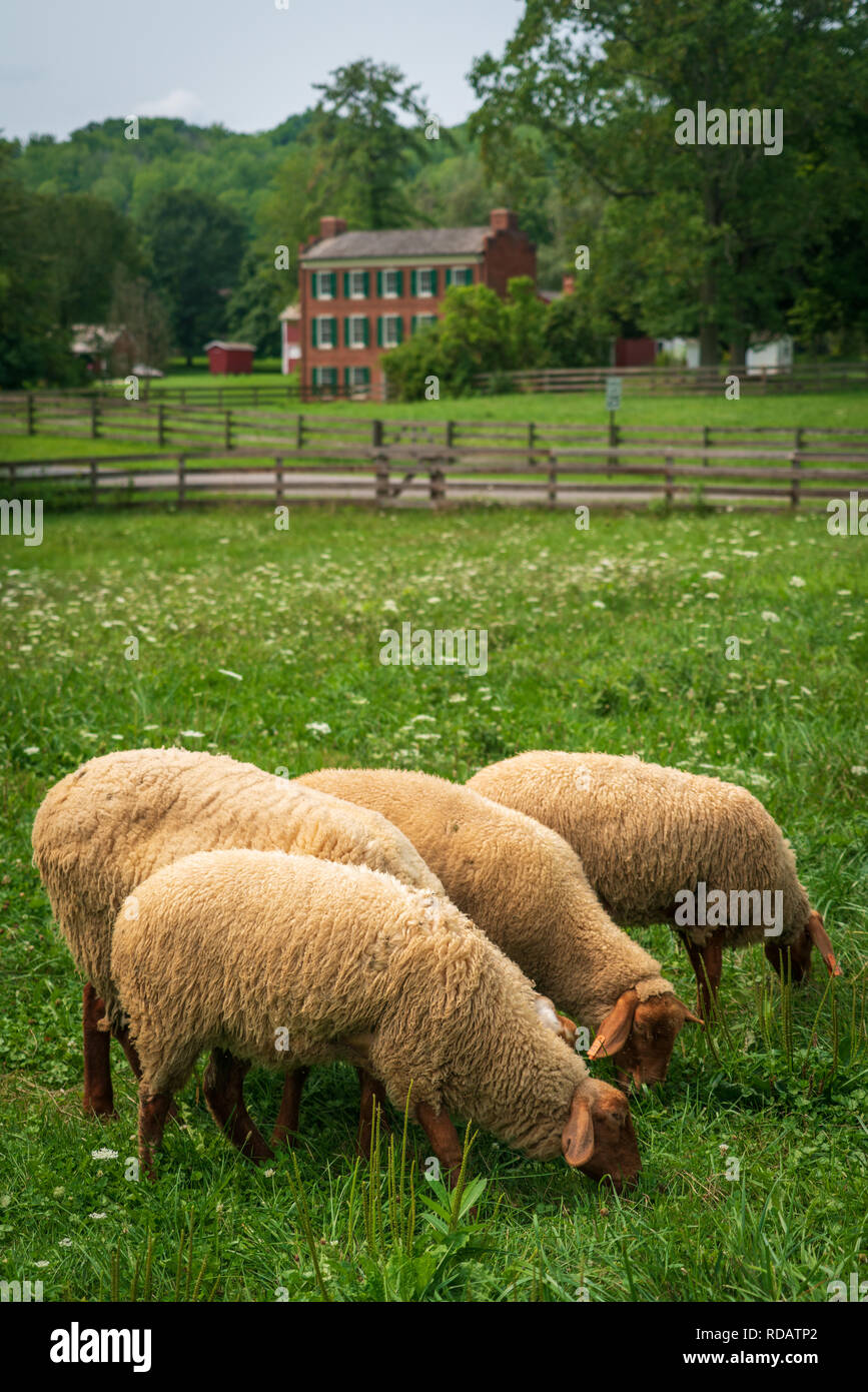 The historic Hale Farm Village in Ohio's only National Park, Cuyahoga ...