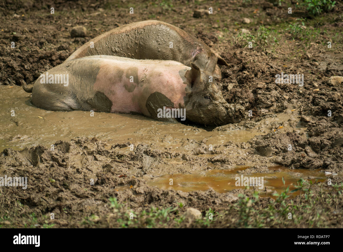 The historic Hale Farm Village in Ohio's only National Park, Cuyahoga ...