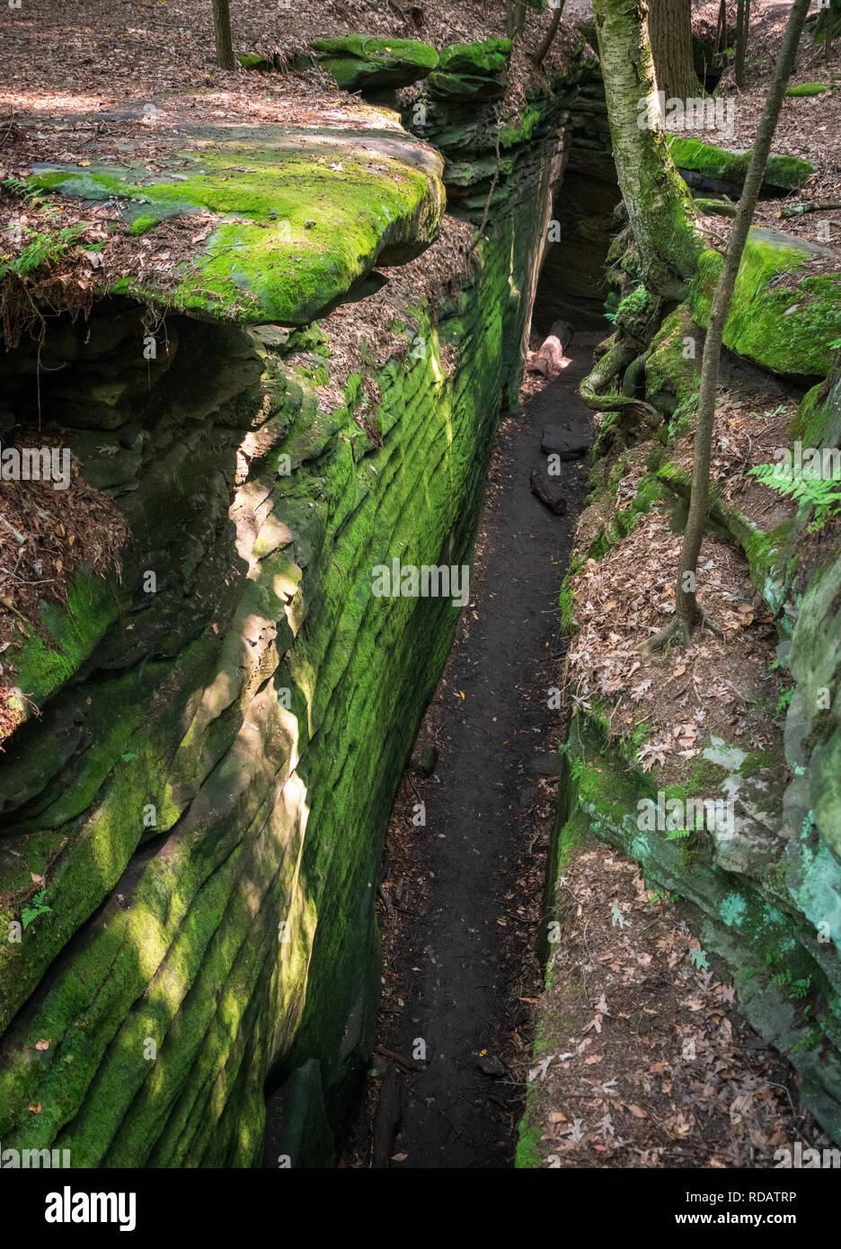 The famous Ledges at Ohio's only National Park, Cuyahoga Valley Stock ...