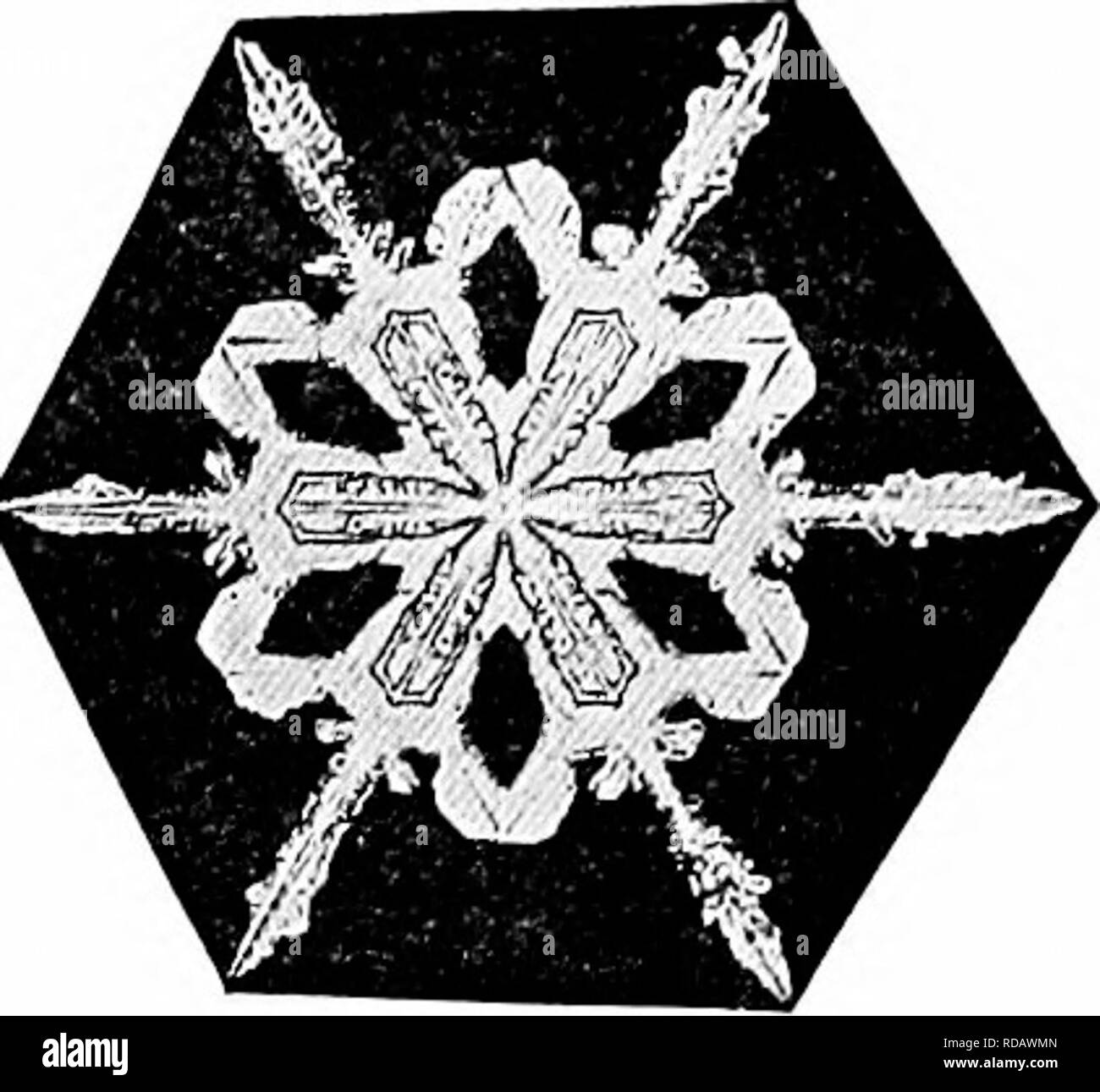 Child witness stand hi-res stock photography and images - Alamy