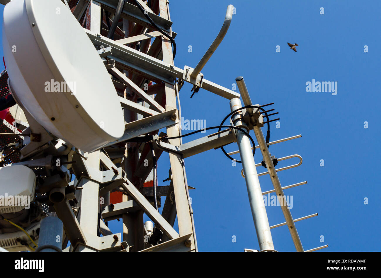 Telecommunication tower with antennas of cellular communication and ...