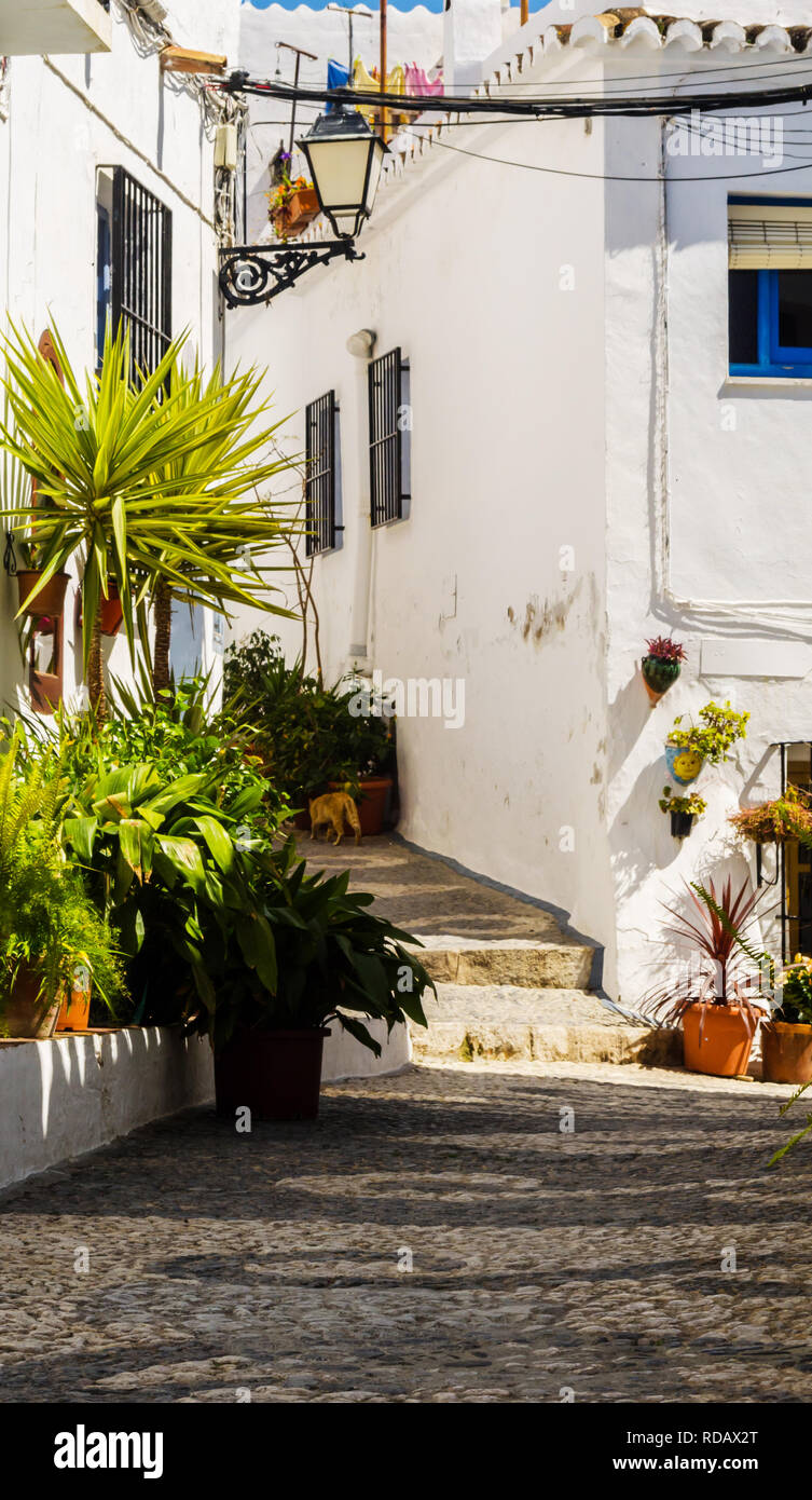 beautiful and picturesque narrow street with white facades of buildings ...