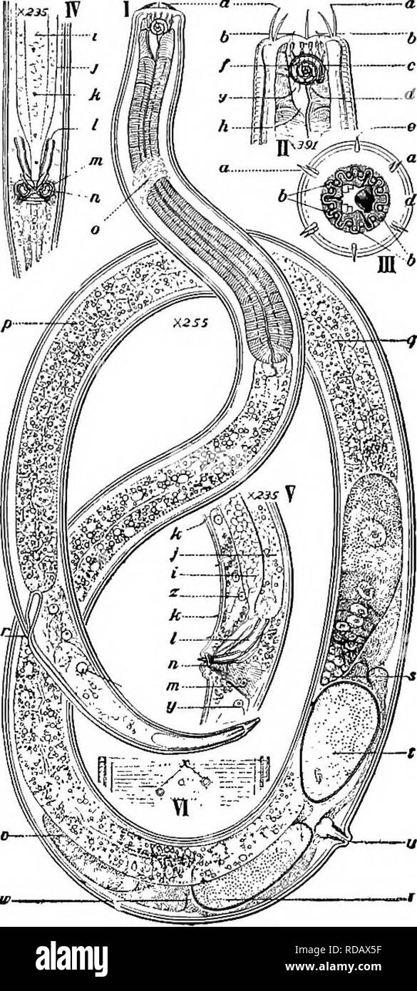 . Fresh-water biology. Freshwater biology. &. ; 15. â ^: 4.V- 88.4 â ...