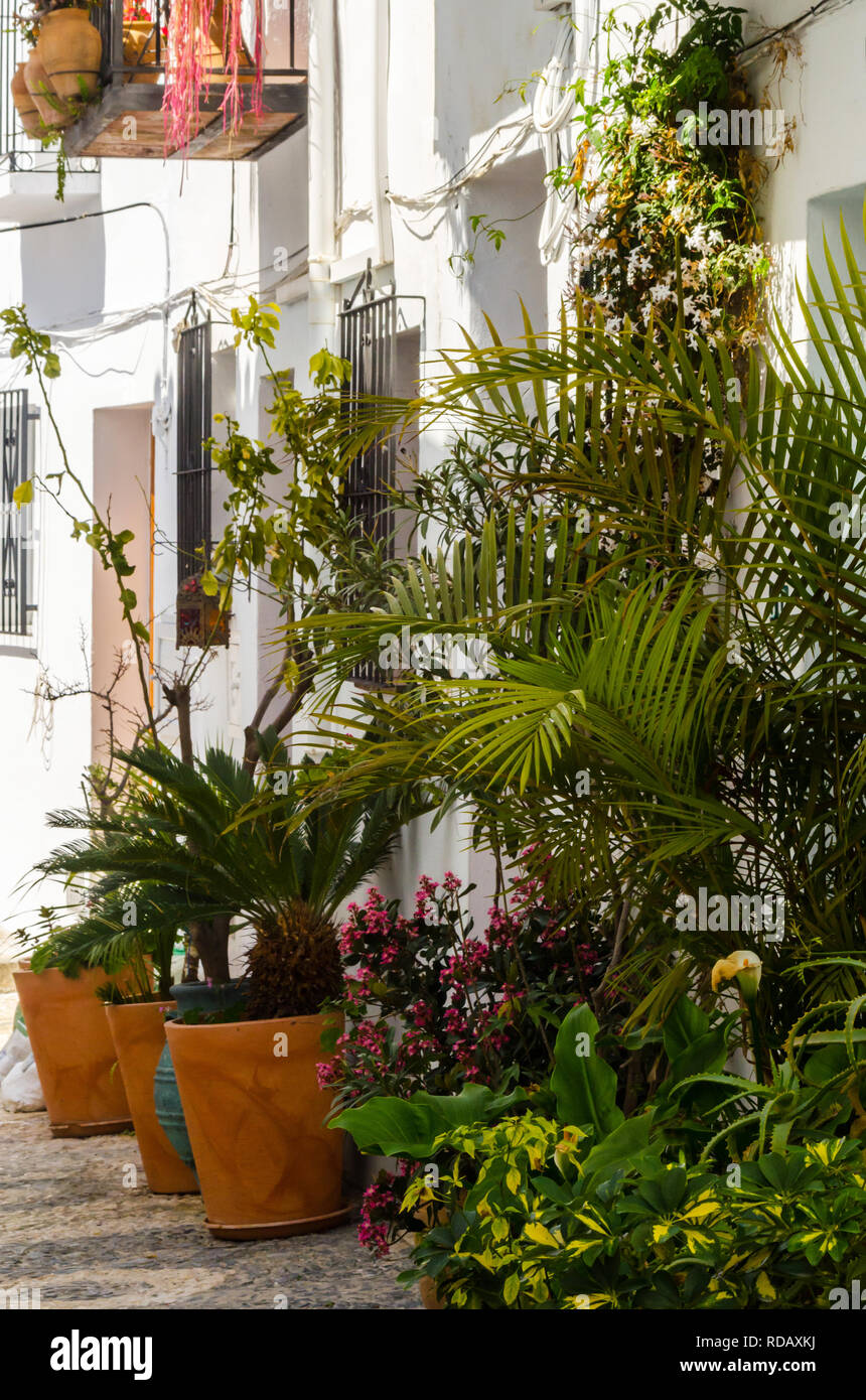 beautiful and picturesque narrow street with white facades of buildings ...