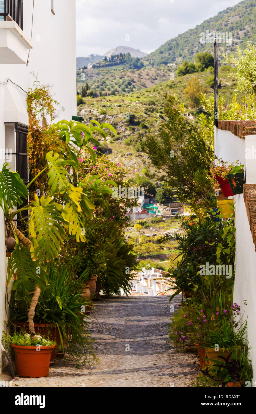 beautiful and picturesque narrow street with white facades of buildings ...