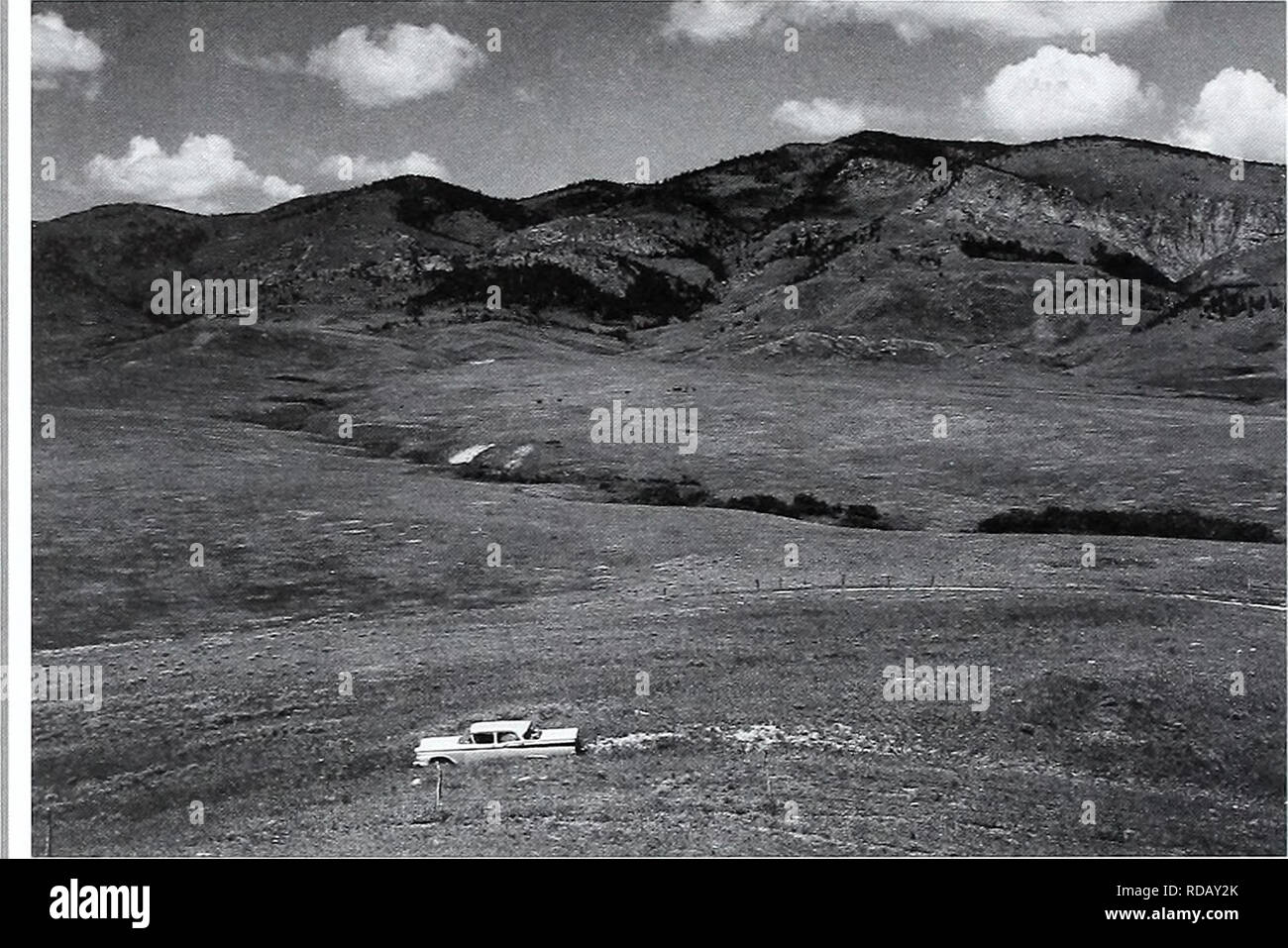 . Eighty years of vegetation and landscape changes in the Northern ...