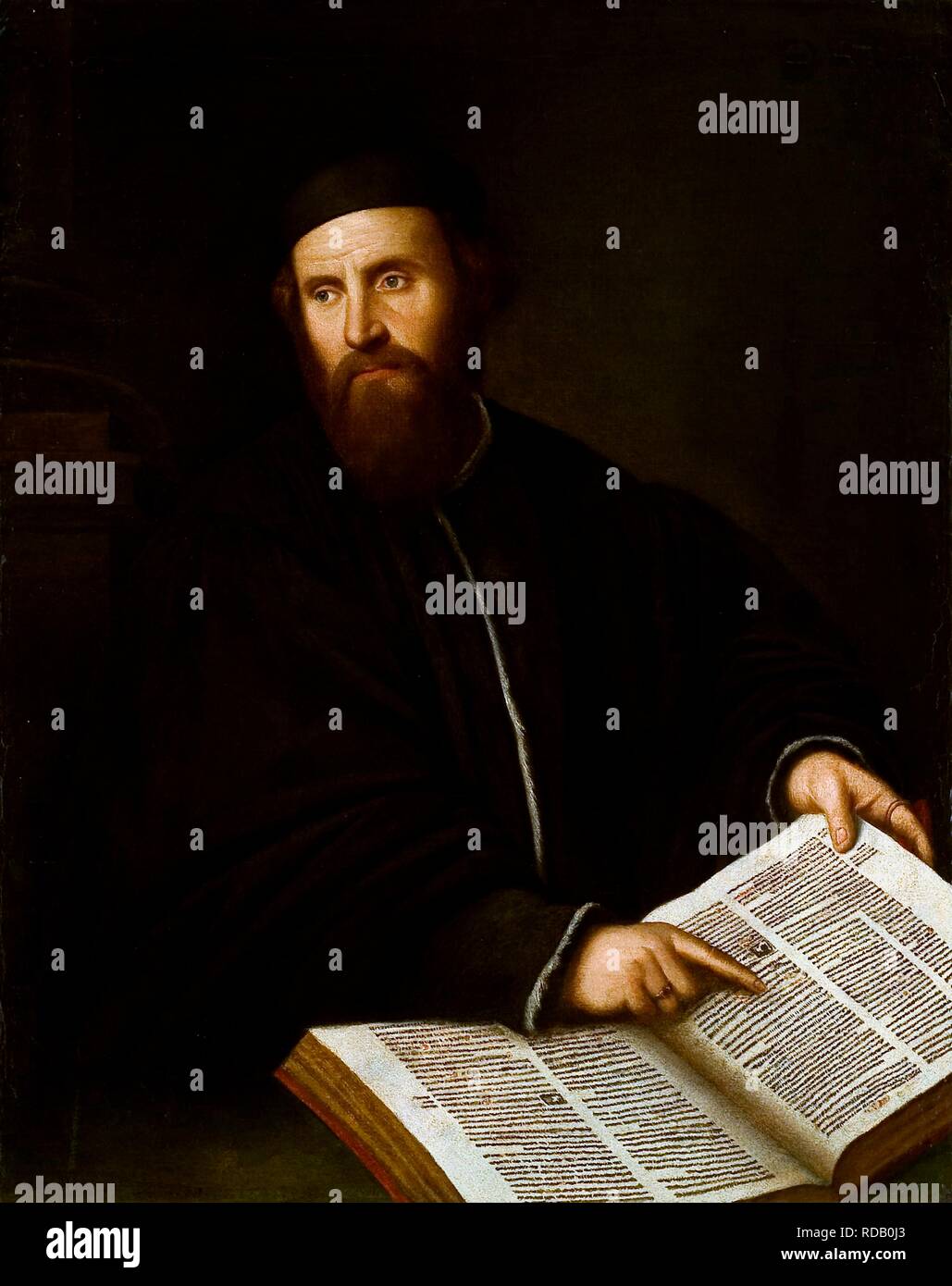 Capriolo rovigo hi-res stock photography and images - Alamy