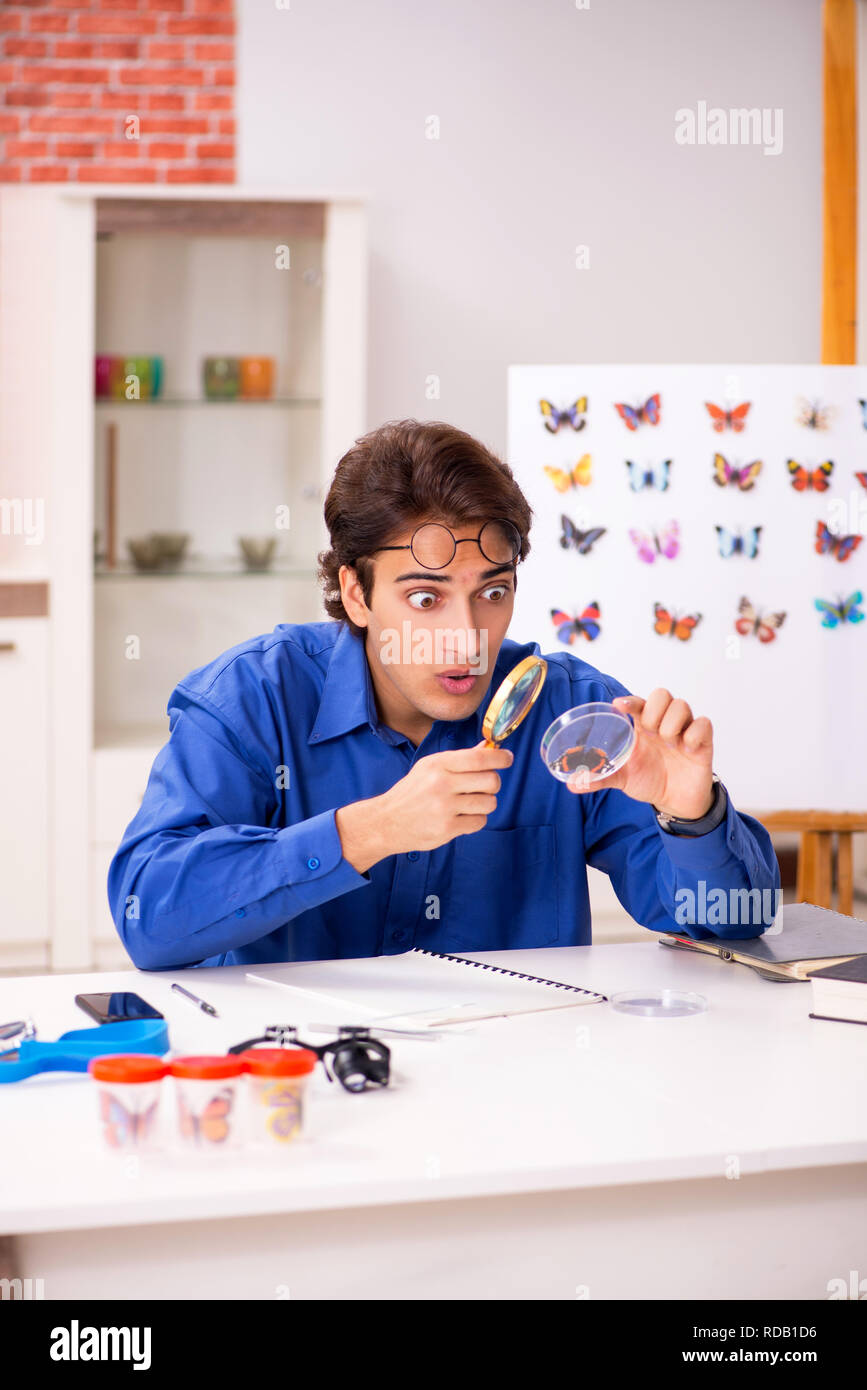 Student entomologist studying new species of butterflies Stock Photo ...