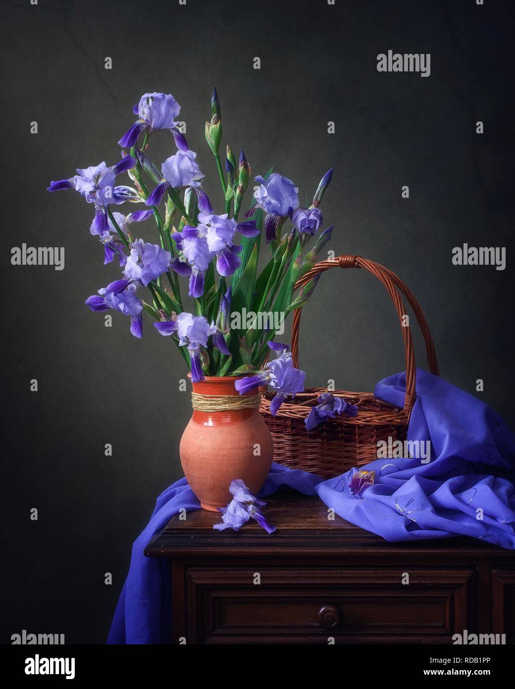 Colorful lush irises hi-res stock photography and images - Alamy