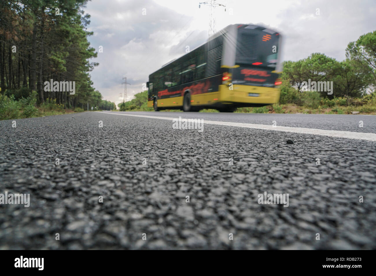 Surrounded by trees and bus hi-res stock photography and images - Alamy