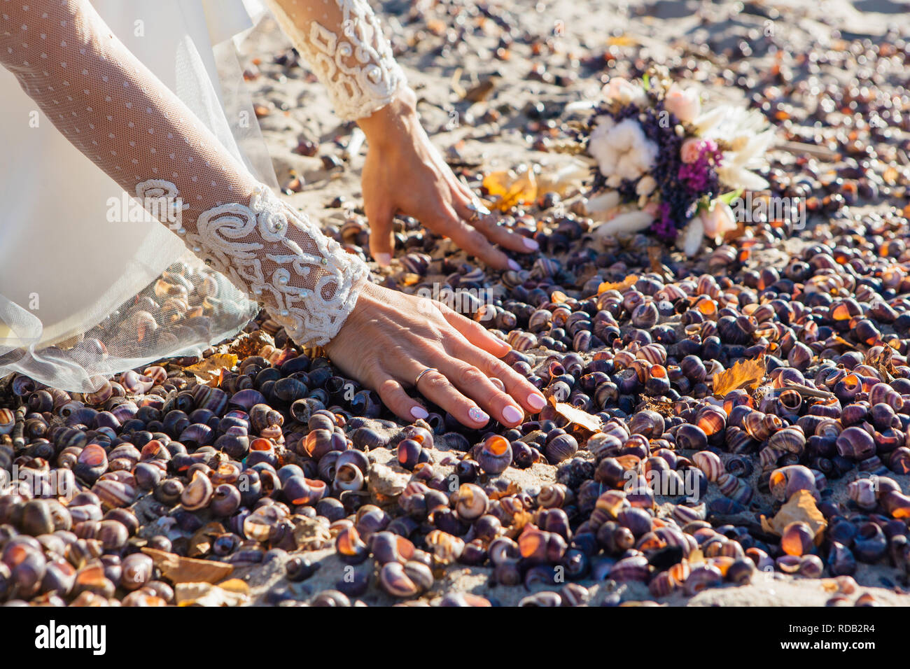 Close up hands of a bride playing with snail shells on the beach Stock ...
