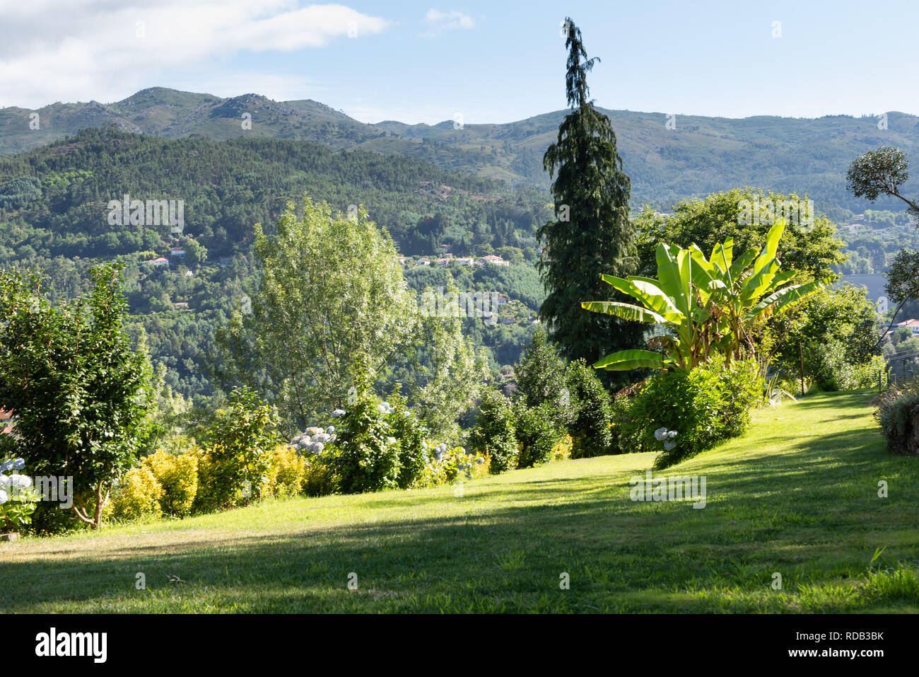 Green garden in Portugal with meadow and hills Stock Photo - Alamy