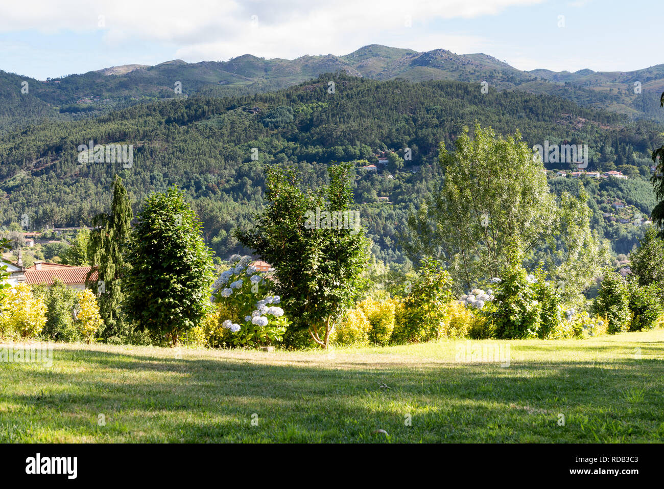 Green garden in Portugal with meadow and hills Stock Photo - Alamy
