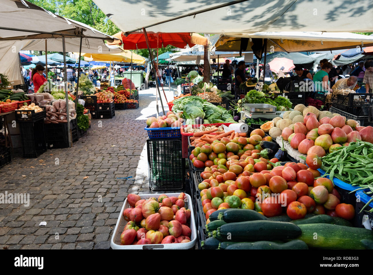 Tomatoes in a Market scene in Braga Portugal in summer Stock Photo - Alamy