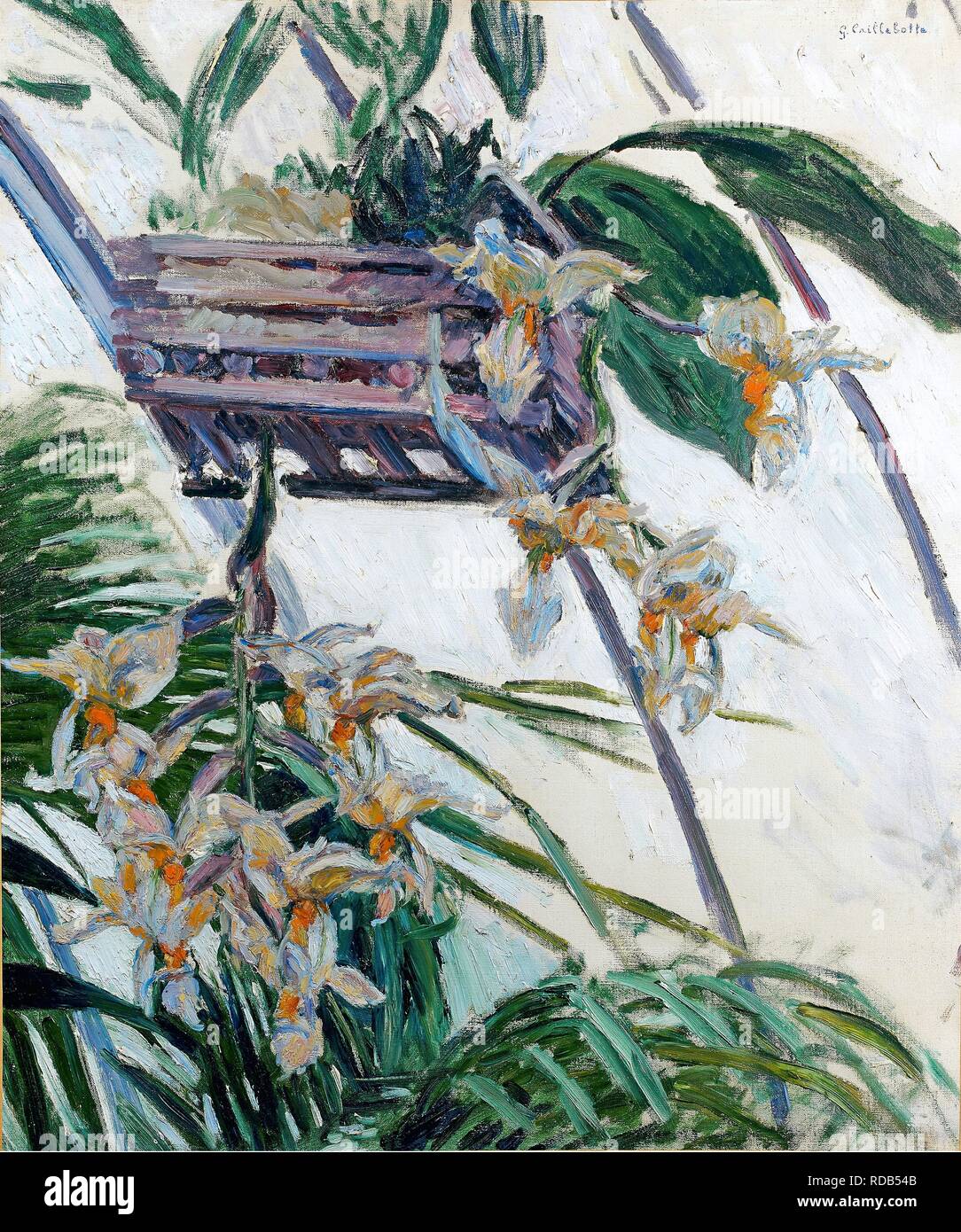 Orchids. Museum: PRIVATE COLLECTION. Author: CAILLEBOTTE, GUSTAVE Stock ...