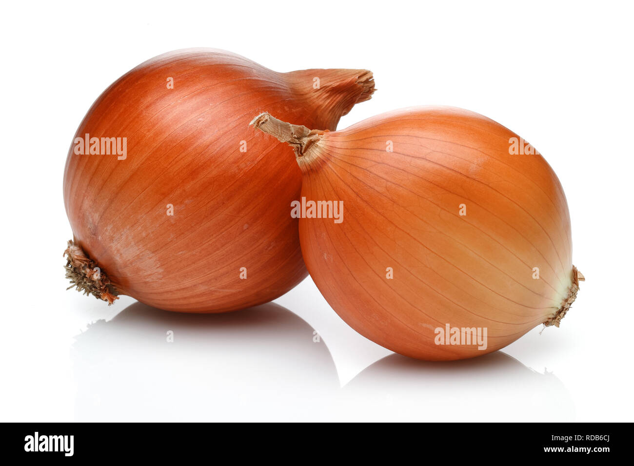 Two onion bulbs isolated on white background Stock Photo - Alamy