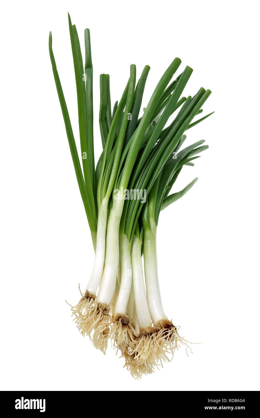 Bunch of fresh spring onion isolated on white background Stock Photo ...